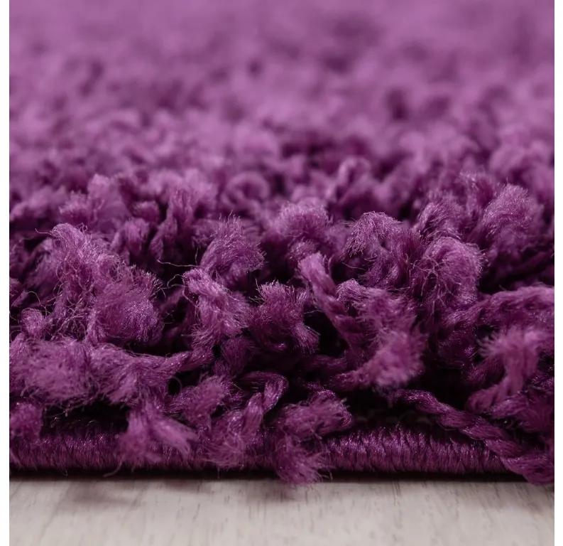 Ayyildiz koberce Kusový koberec Dream Shaggy 4000 lila Rozměry koberců: 120x170