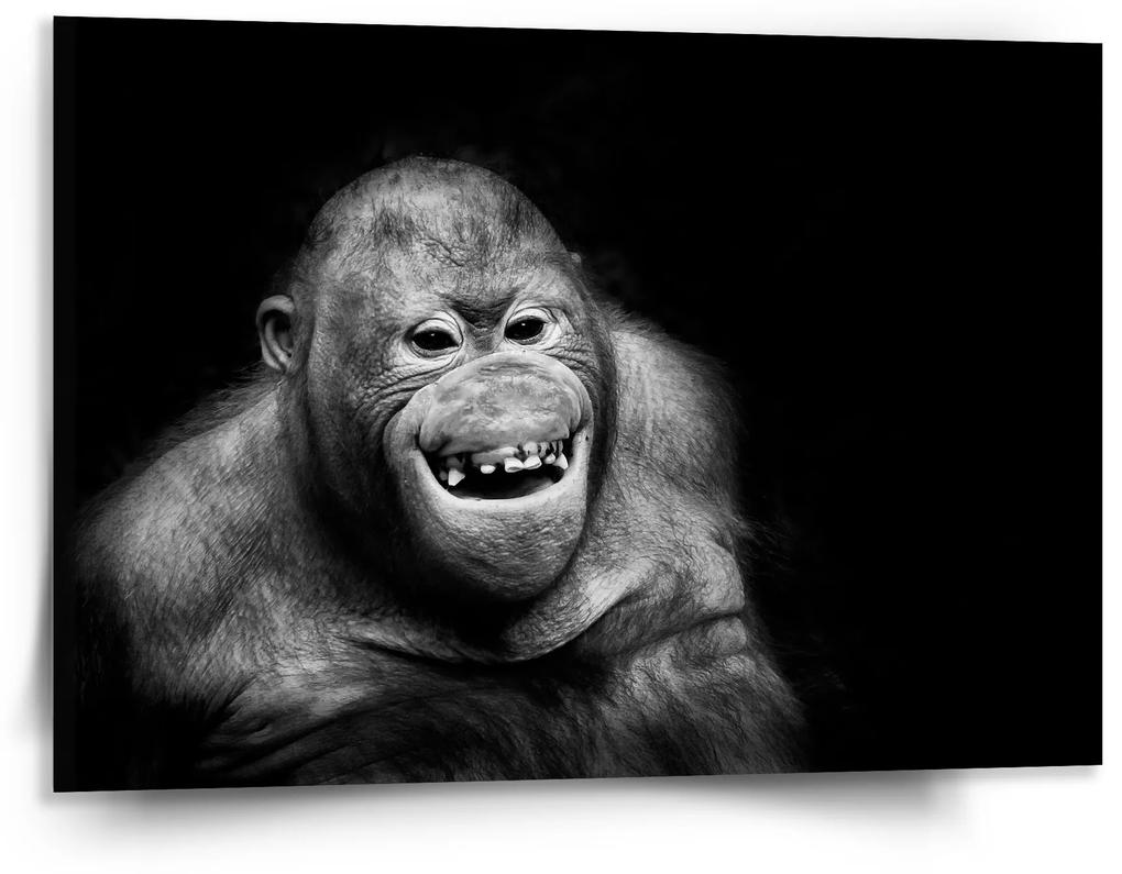 Obraz SABLO - Orangutan 50x50 cm