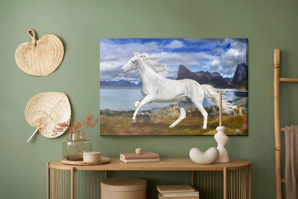 Obraz Kůň Ve Cvalu Nedostatek Nedostatek Přírodní plátno 100x70