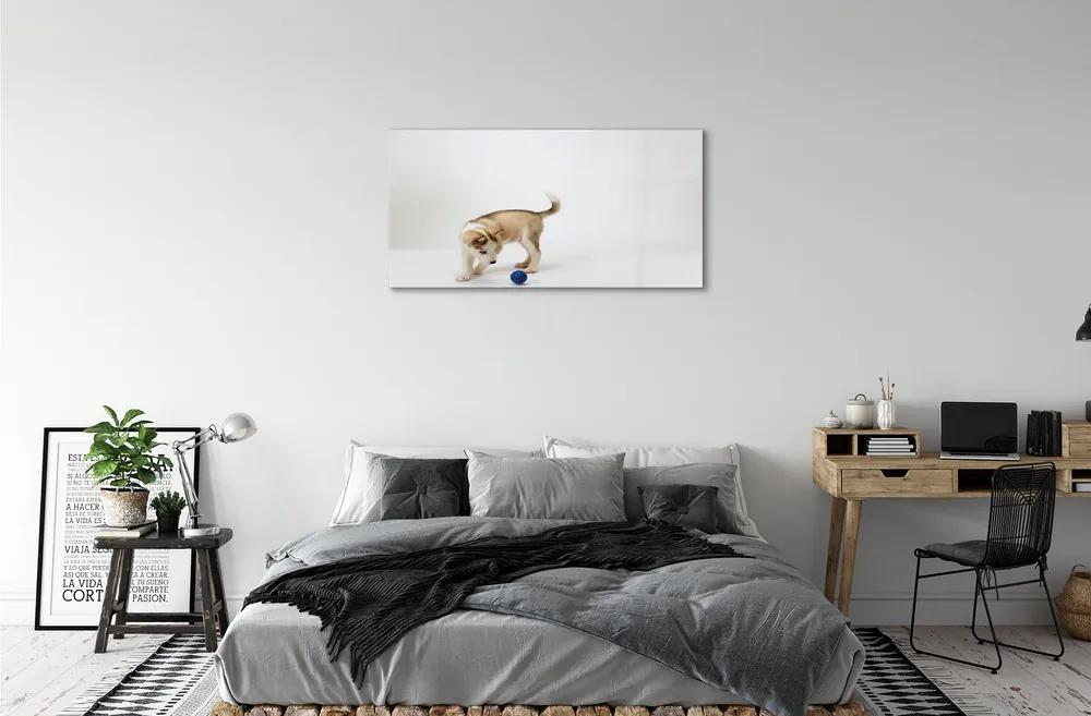 Obraz na skle Hrát s tím psem 125x50 cm