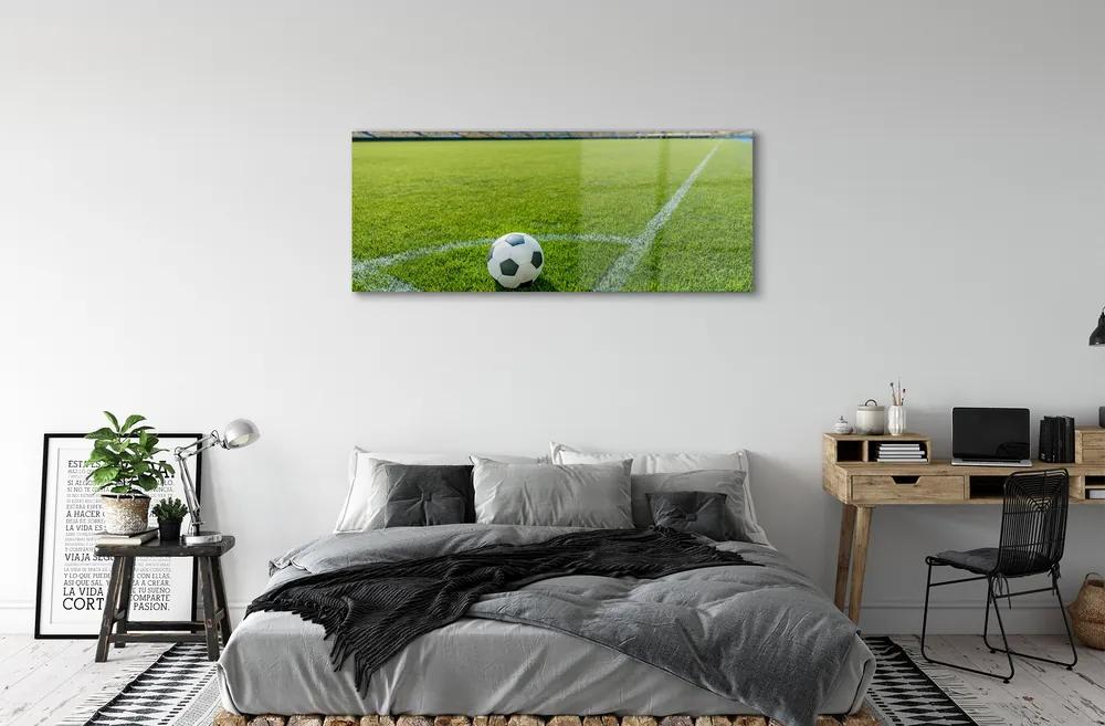 akrylový obraz Fotbalový stadion trávy 120x60 cm