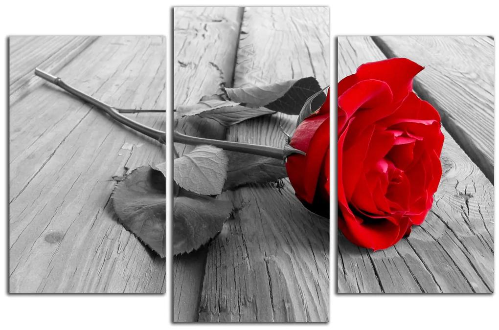 Obraz Rudá růže , vícedílný