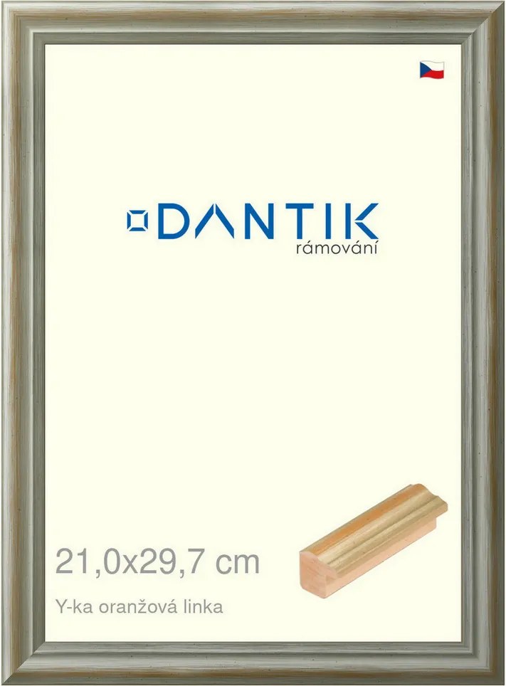 DANTIK rámeček 21x29,7 | Y-ka oranžová linka (Sklo Čiré)