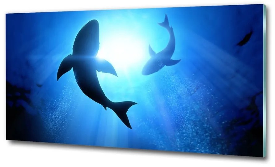 Wallmuralia Foto obraz skleněný horizontální Dva žraloci 100x50