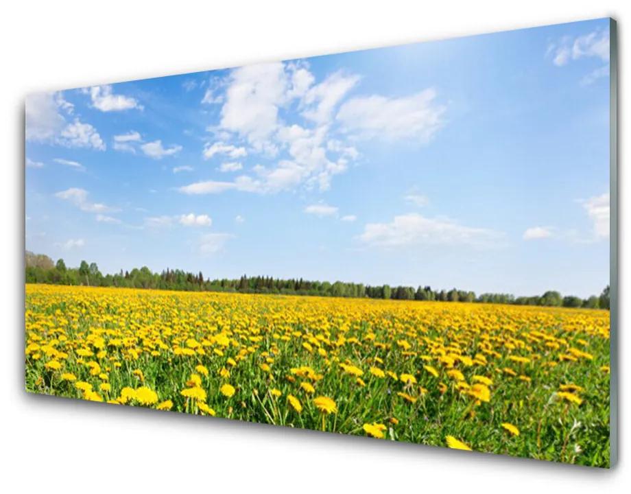 Obraz na skle Pampeliška Krajina 140x70 cm