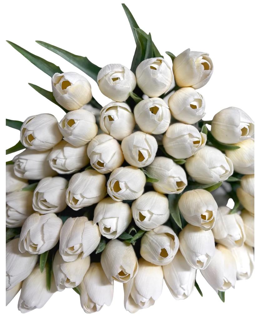 Tulipán CREAM WHITE