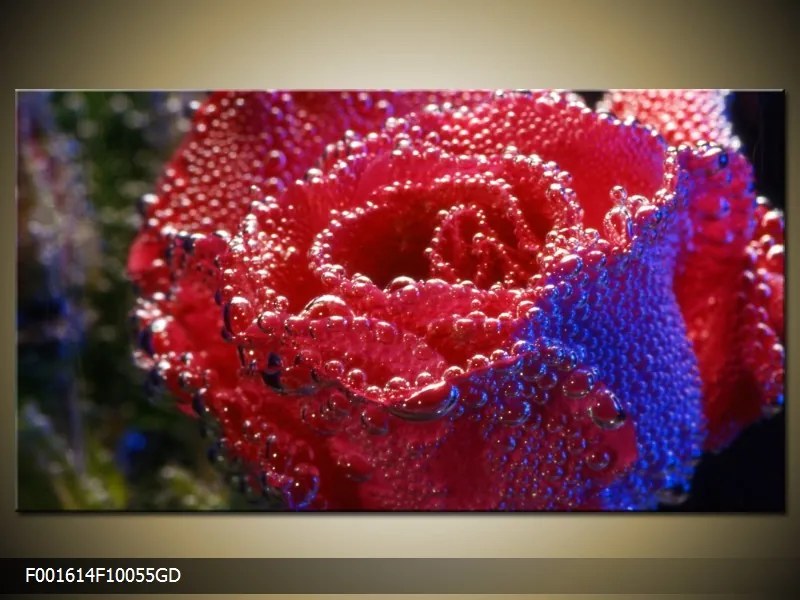 Obraz orosené růže (), 40 dalších rozměrů