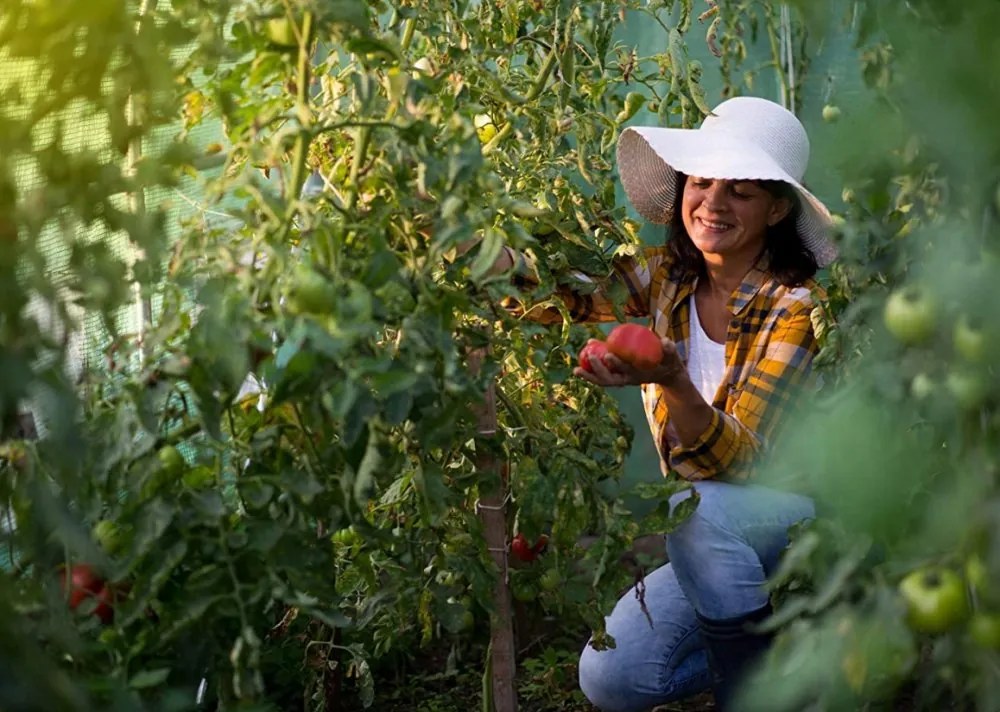 Zahradní fóliovník 2,5x4 m