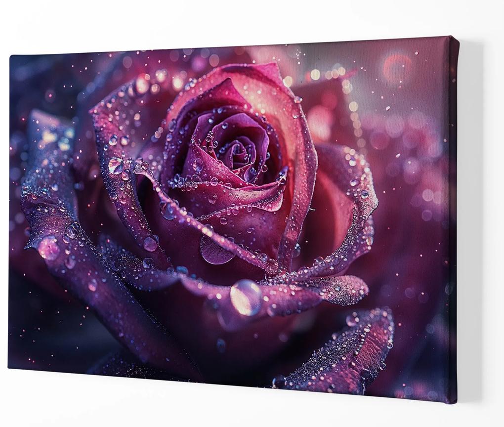 Obraz na plátně - Růže, růžový dotek FeelHappy.cz Velikost obrazu: 40 x 30 cm