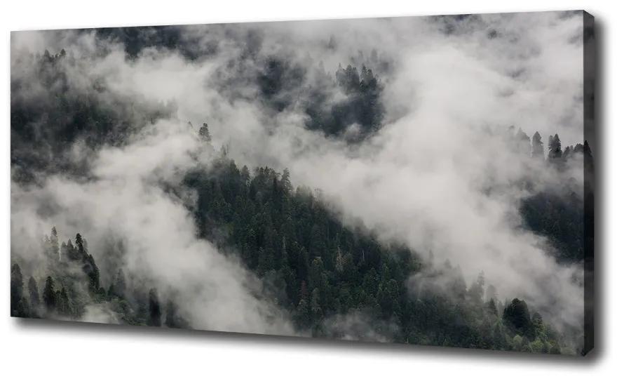 Wallmuralia Foto obraz na plátně do obýváku Mlha nad lesem 100x50