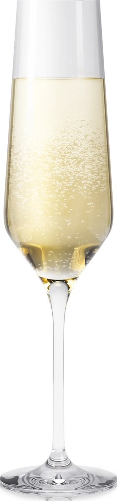 Sklenice na šampaňské Legio Nova 6 ks