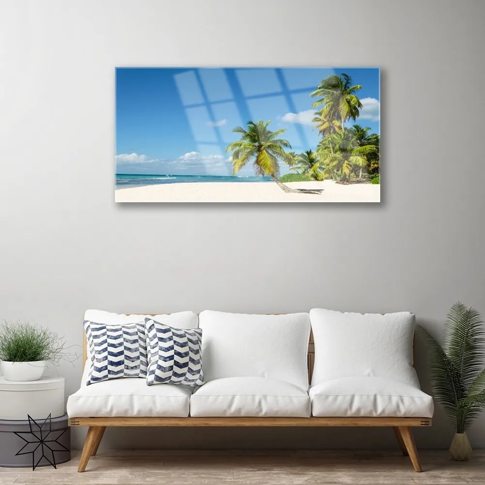 Plexisklo-obraz Pláž Palma Moře Krajina 100x50 cm