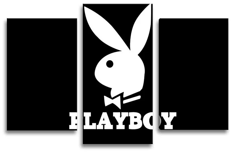 Obraz - 3-dílný SABLIO - Playboy 2 75x50 cm