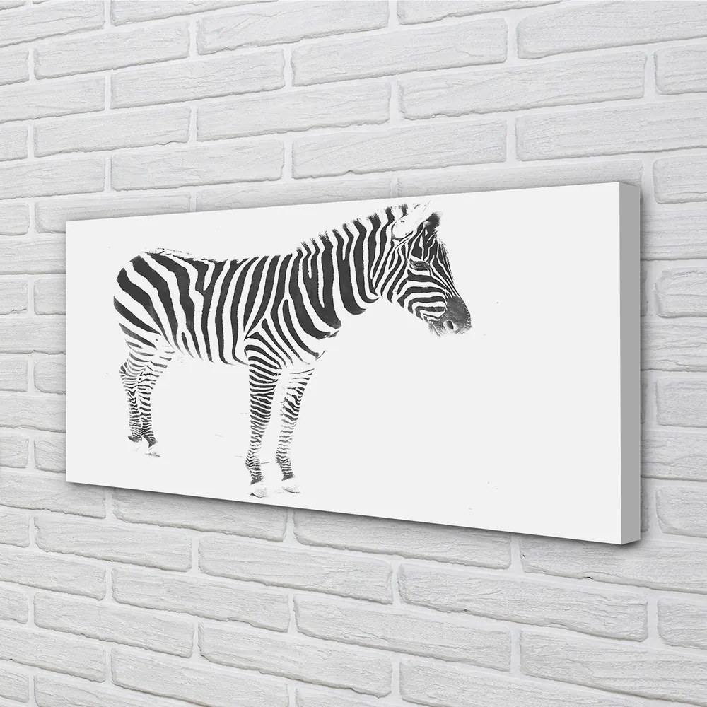 Obrazy na plátně malované zebra 125x50 cm