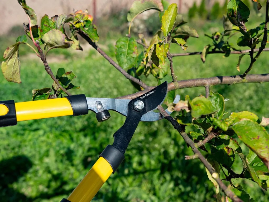 Teleskopické nůžky na větve 650-975 mm, rukojeť PP+TPR (6 ks)