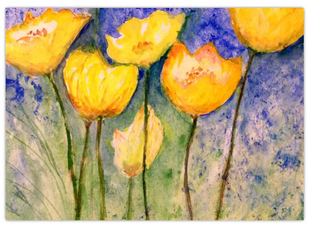 Obraz - Žluté tulipány (70x50 cm)