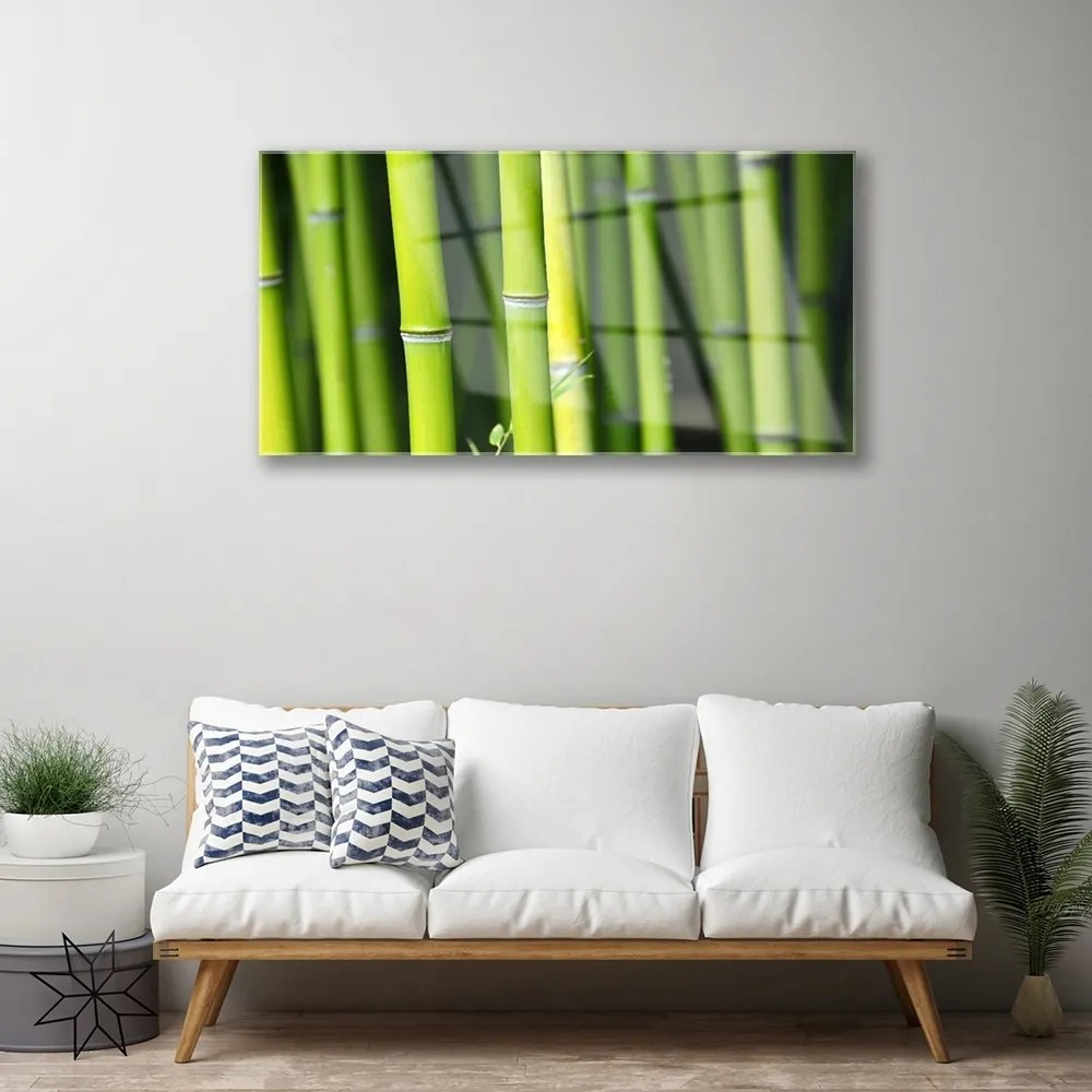 Obraz na skle Bambus Příroda Rostlina 125x50 cm