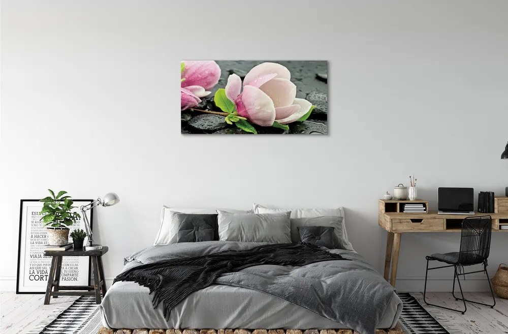 Obrazy na plátně Magnolia kameny 120x60 cm