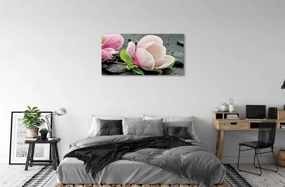 Obrazy na plátně Magnolia kameny 125x50 cm
