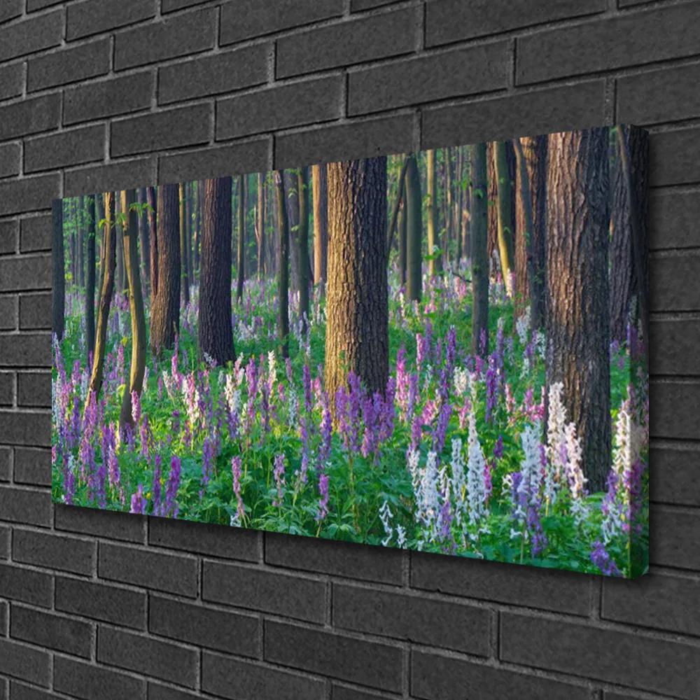 Obraz na plátně Les Příroda 100x50 cm