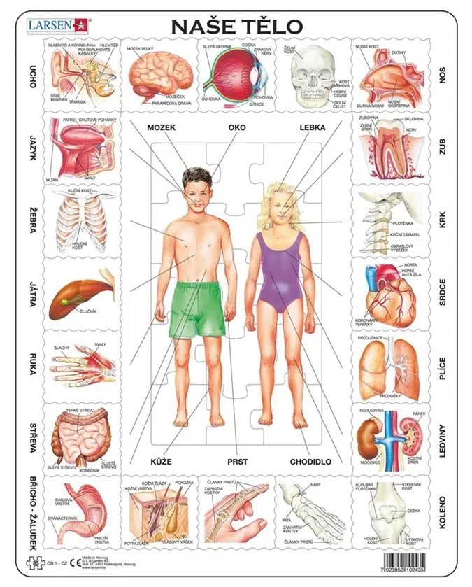 Larsen Vzdělávací puzzle Naše tělo 35 dílků