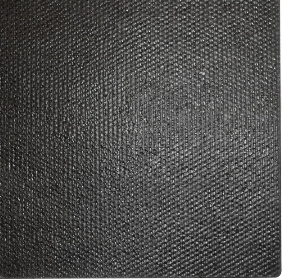 Rohožka před dveře přírodní 40 x 60 cm kokosové vlákno 155557