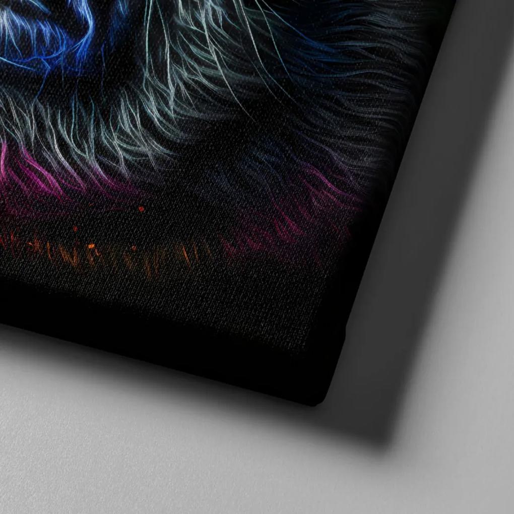 Obraz na plátně - barevný tygr na černém pozadí FeelHappy.cz Velikost obrazu: 60 x 60 cm