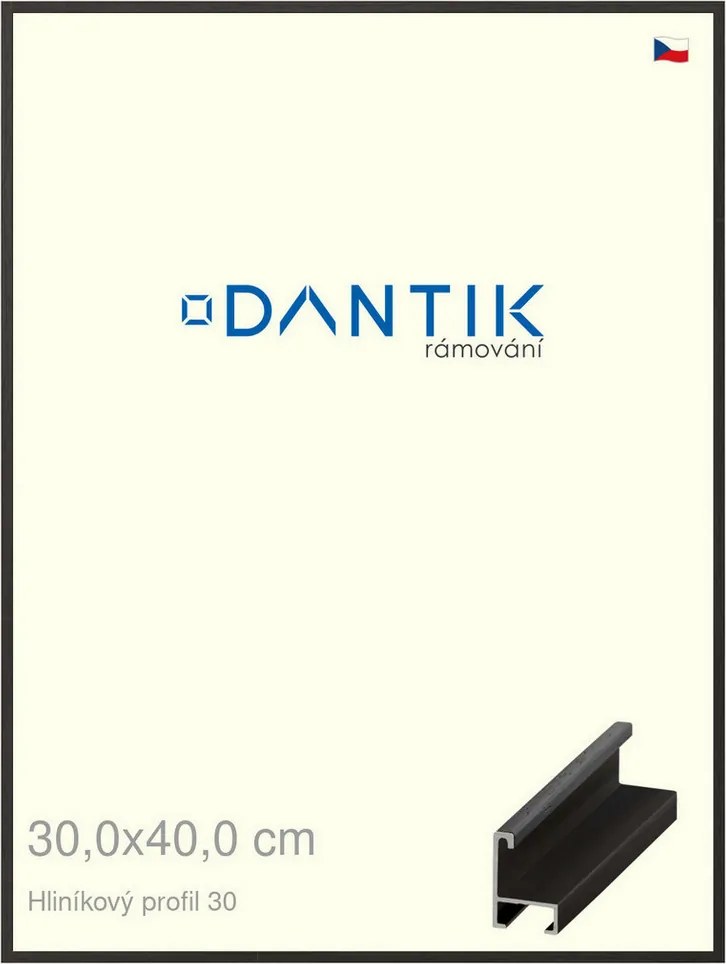 DANTIK rámeček 30x40 | ALU profil 6030 Dýha černá (Plexi Čiré)