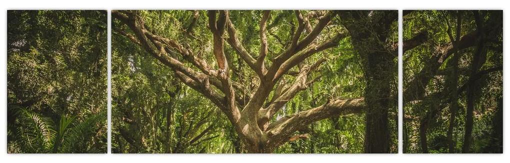 Obraz stromu (170x50 cm)