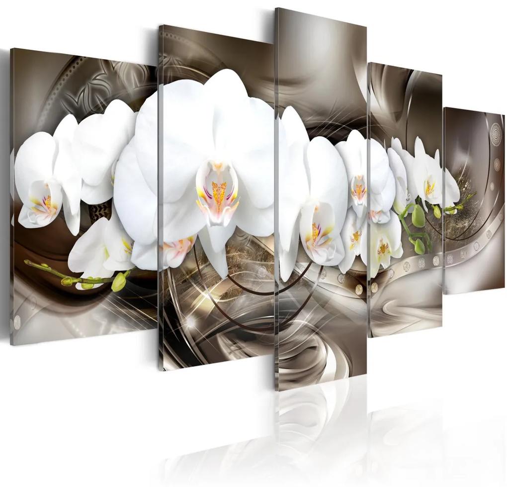 Obraz orchidej Brown + háčky a hřebíčky ZDARMA Velikost (šířka x výška): 220x110 cm