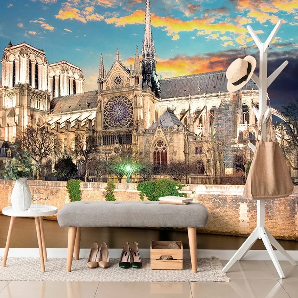 Fototapeta katedrála Notre Dame - 450x300 cm