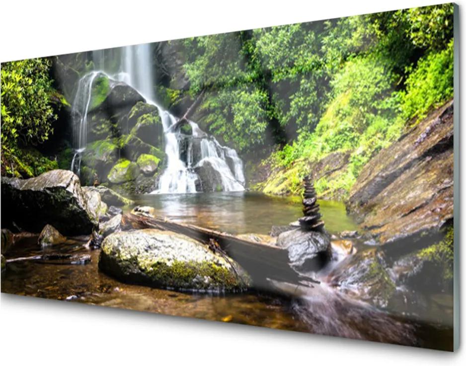 Skleněný obraz Vodopád Kameny Les Příroda