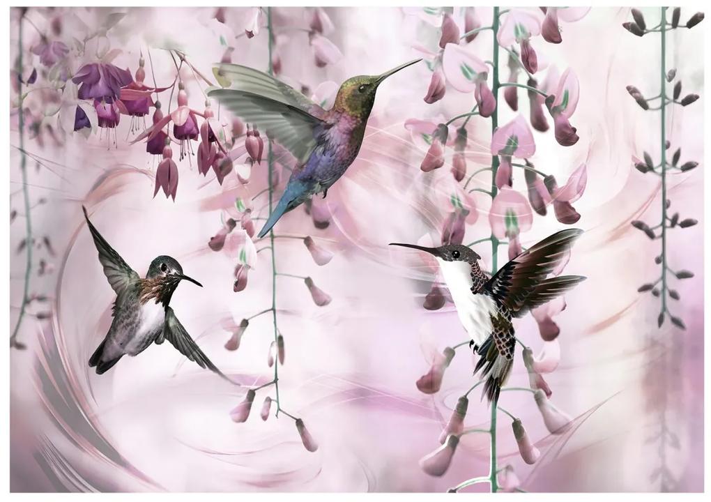 Fototapeta - Flying Hummingbirds (Pink)