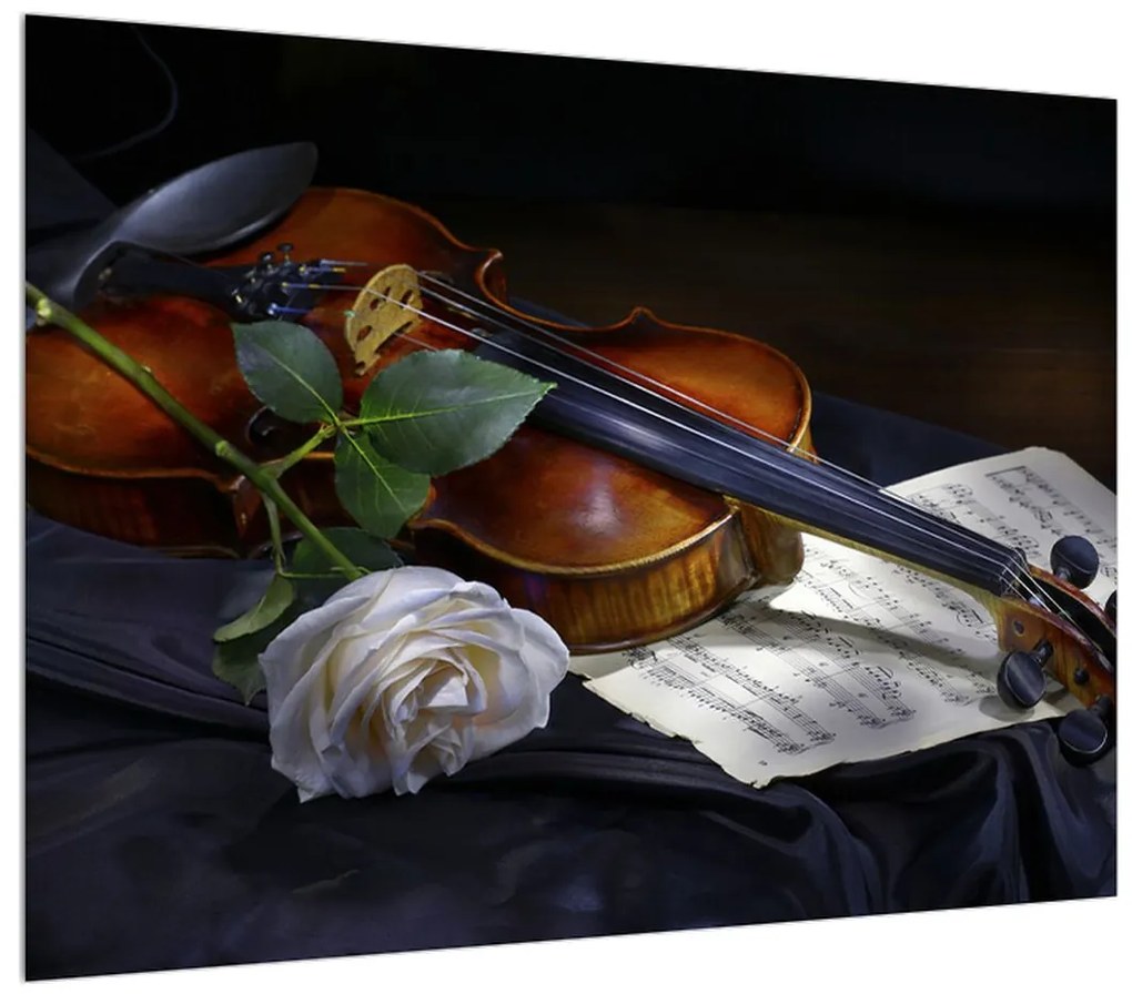 Obraz růže a houslí (70x50 cm)