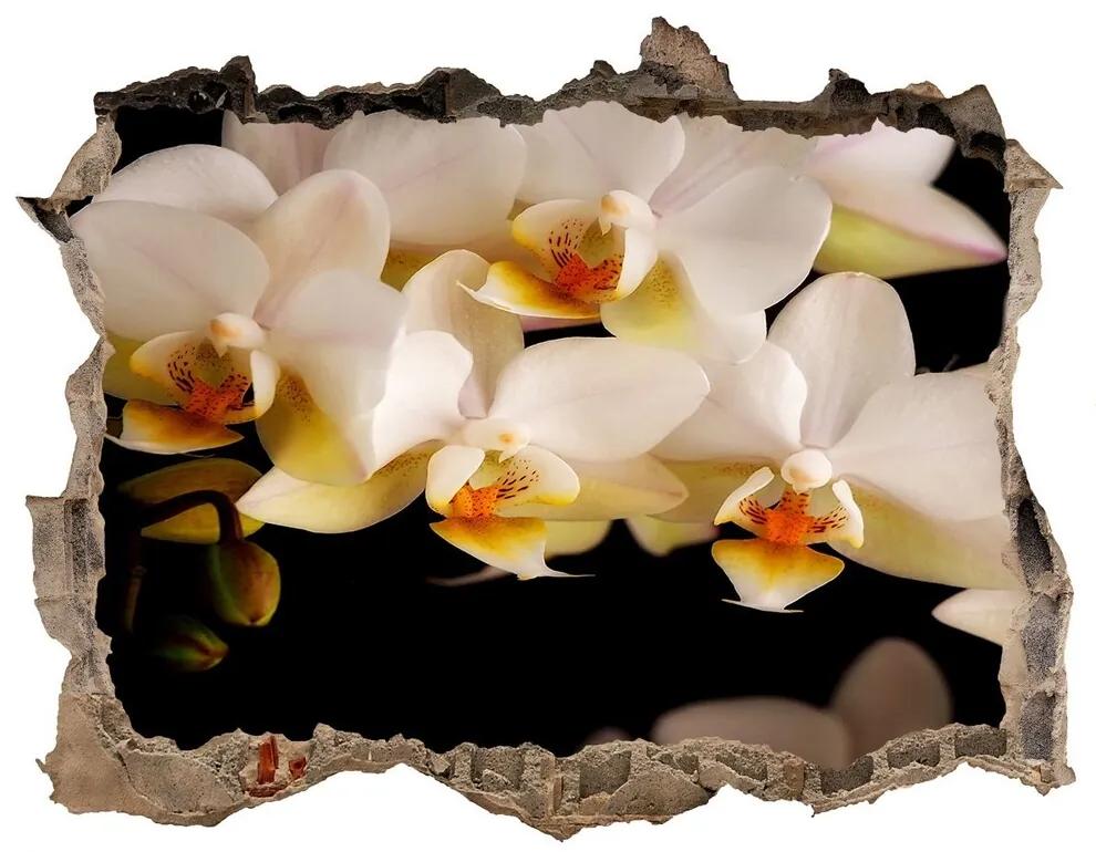 Wallmuralia Nálepka fototapeta 3D výhled Orchidej 95x64 cm