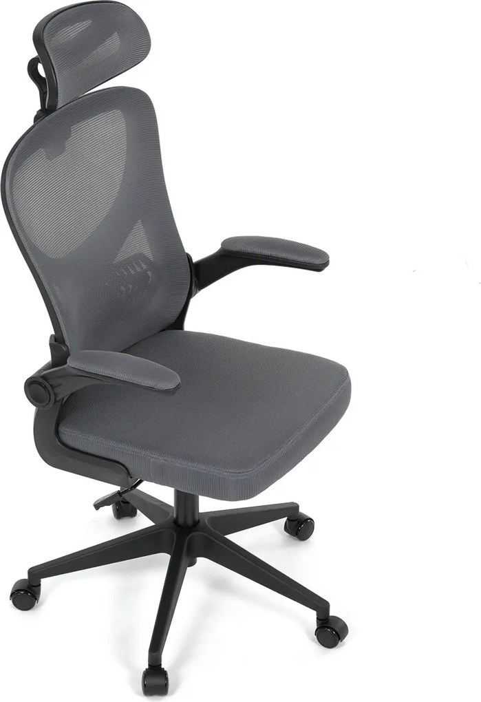 Ergonomická kancelářská židle ALEXANDRE - šedá síťovina