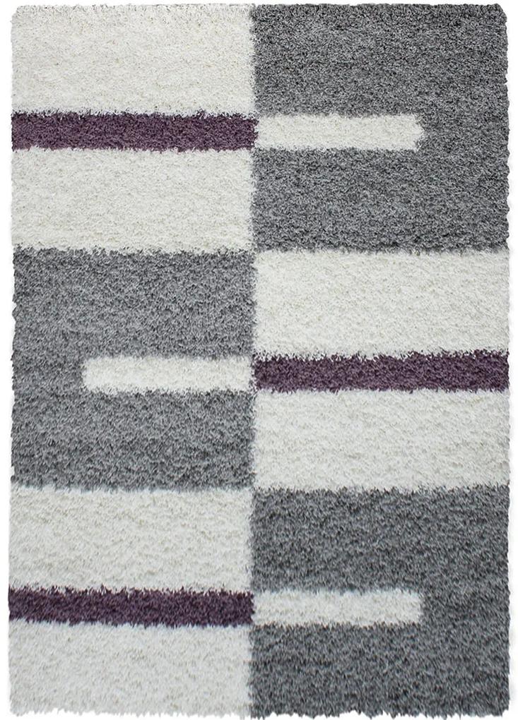 Koberce Breno Kusový koberec GALA 2505 Lila, Vícebarevné, 120 x 170 cm