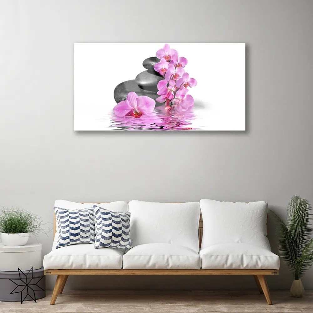 akrylový obraz Květ Kameny Rostlina 100x50 cm