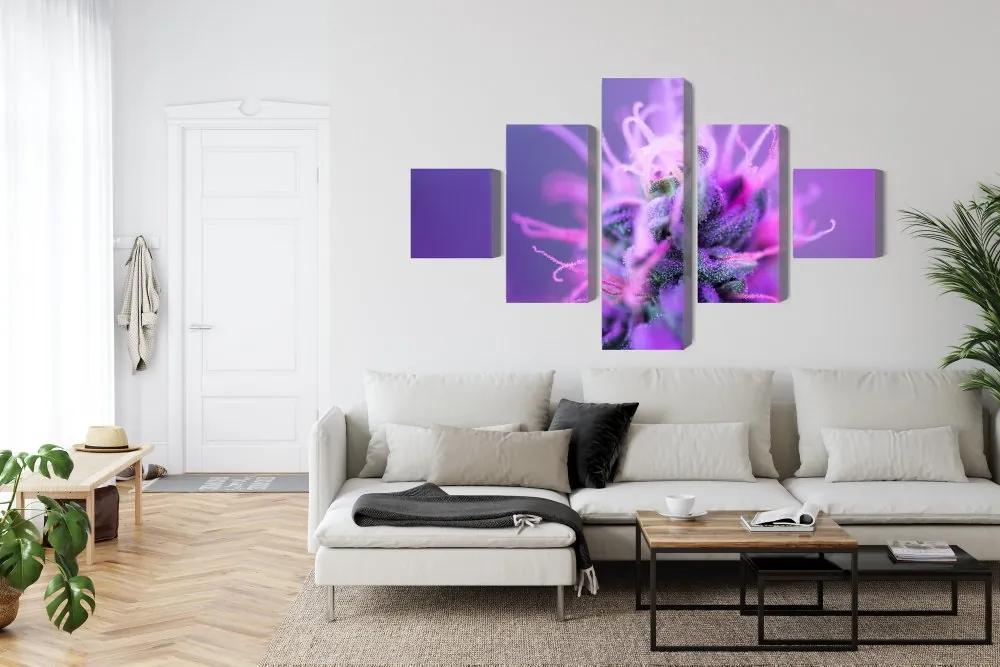 Vícedílný obraz Makro Rostlina Na Růžovo-Fialovém Pozadí Nedostatek Nedostatek Plátno Canvas 200x120