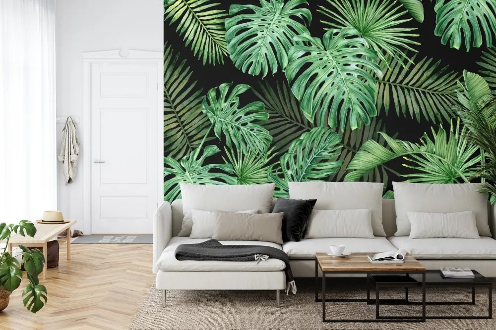 Fototapeta Monstera Odchází Hladký vinyl 254x184