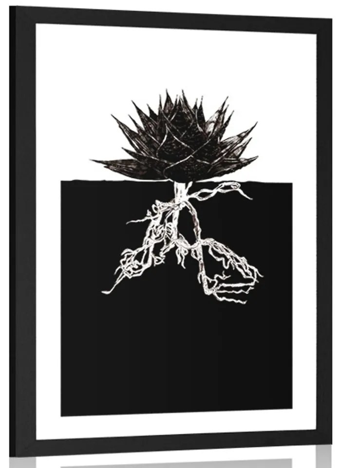 Plakát s paspartou nesmrtelnost rostliny