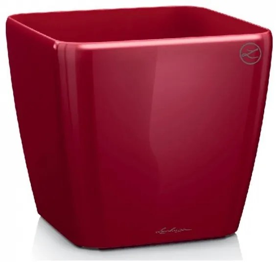 Lechuza Quadro LS 50 - scarlet