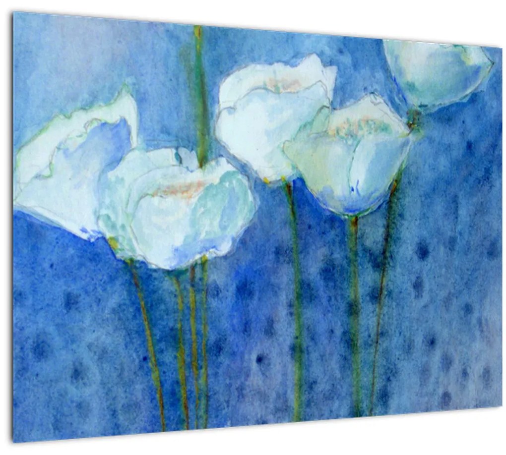 Skleněný obraz - Bílé tulipány (70x50 cm)
