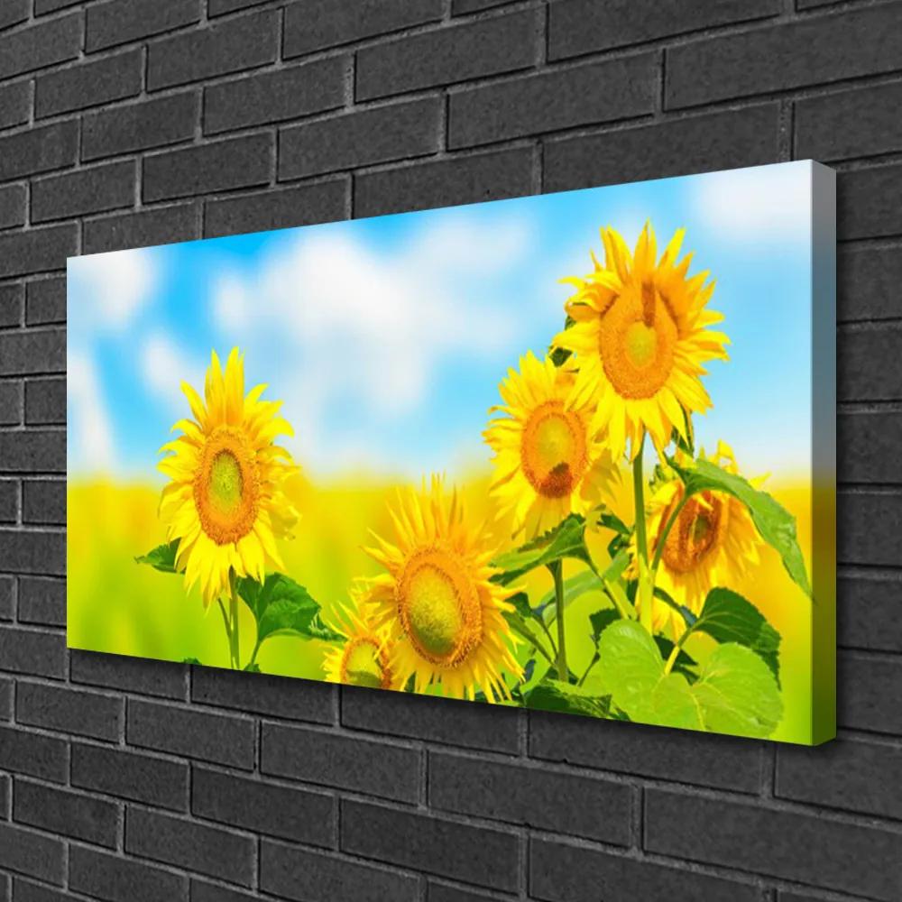 Obraz na plátně Slunečnice Květiny Příroda 140x70 cm