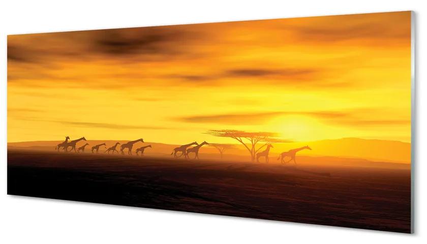 akrylový obraz Strom mraky nebe žirafa 120x60 cm