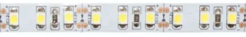 ECOLIGHT LED pásek - SMD 2835 - 5m - 600/5m - 9,6W/m - IP20 - studená bílá