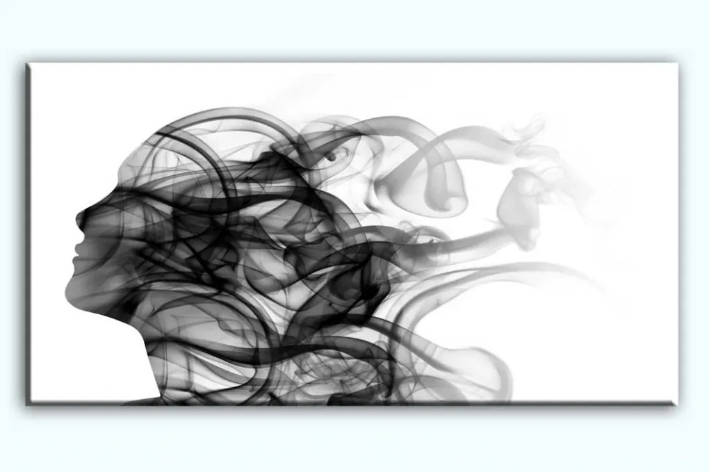 Obraz Kouřová silueta Velikost (šířka x výška): 90x45 cm