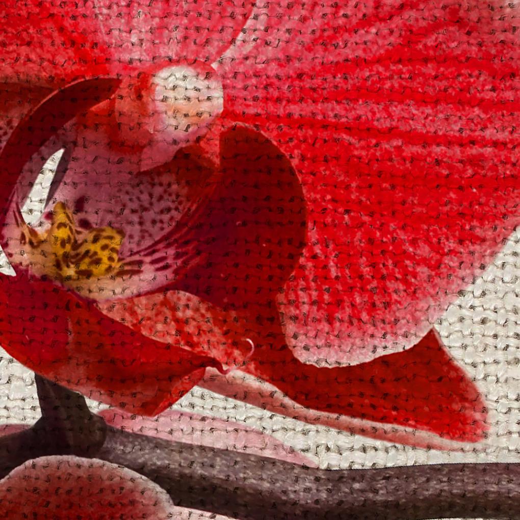 Malvis ® Tapeta Orchidej červená Vel. (šířka x výška): 360 x 260 cm