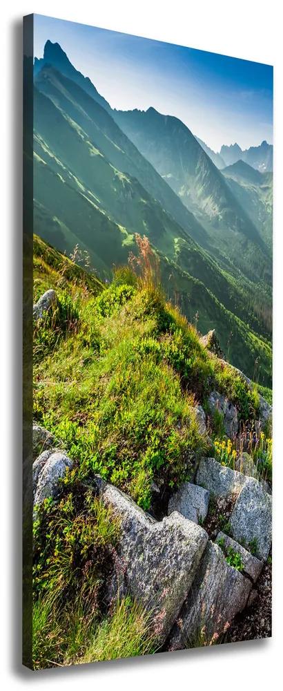 Wallmuralia Foto obraz na plátně do obýváku Hory létem 50x125 cm