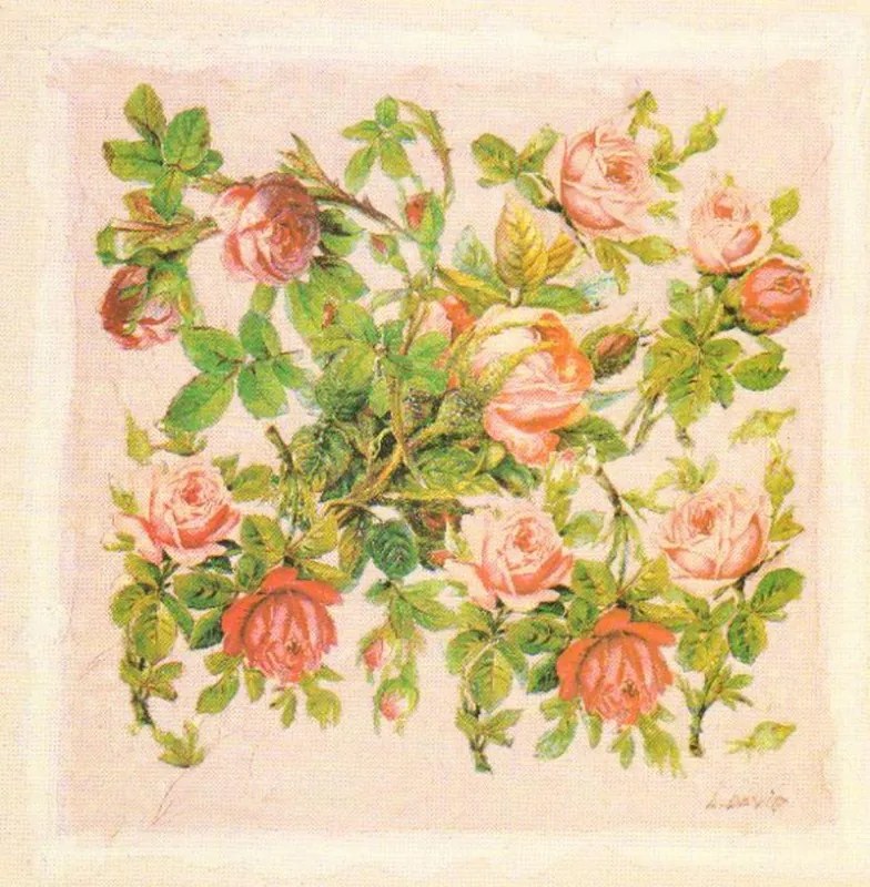 ART-STYLE Obrázek 20x20, houština růží II., rám bílý s patinou